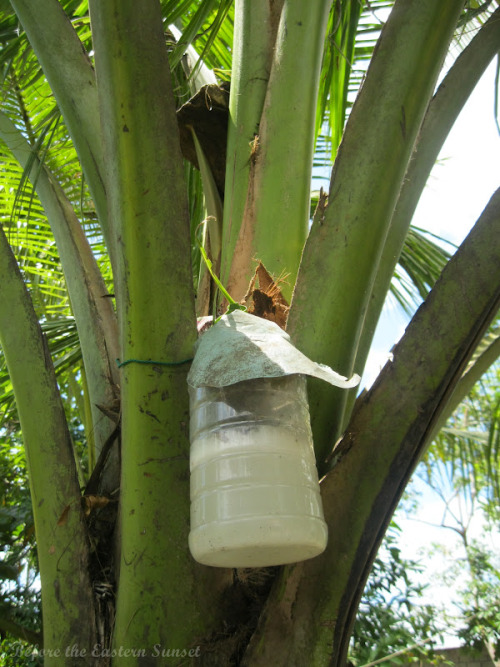 7 Desi Daarus to travel for - Durofy - Business, Technology ...